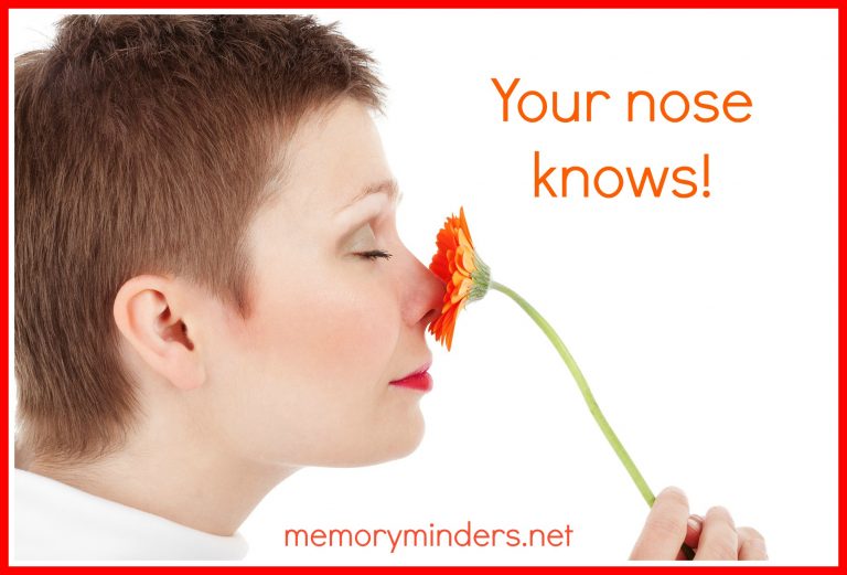 Your Nose Knows - Memory Minders